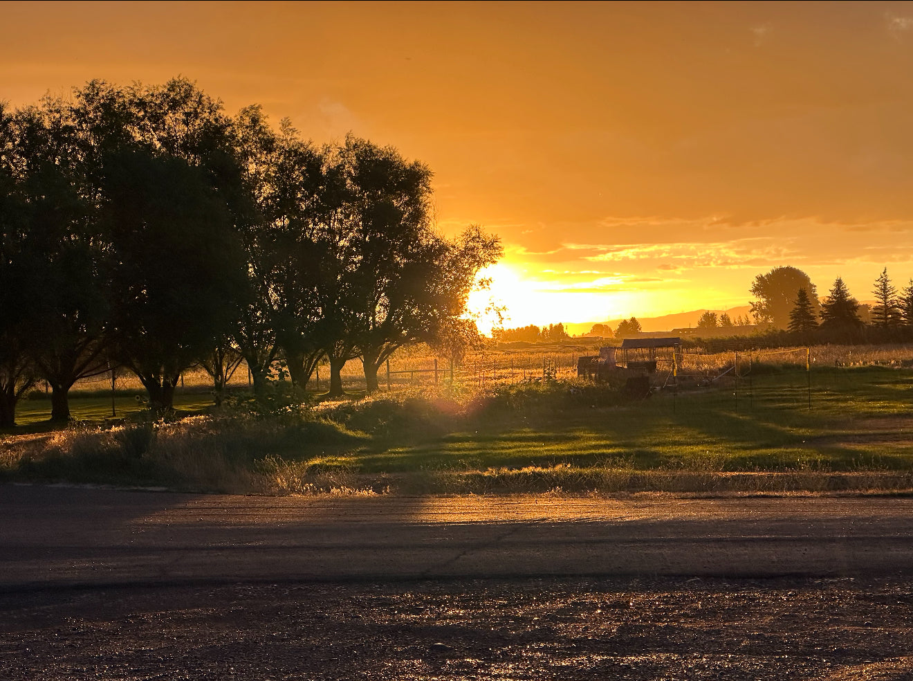 Painting #TBD - 22x28" Canvas - Photo recreation painted TBD – Paint ...